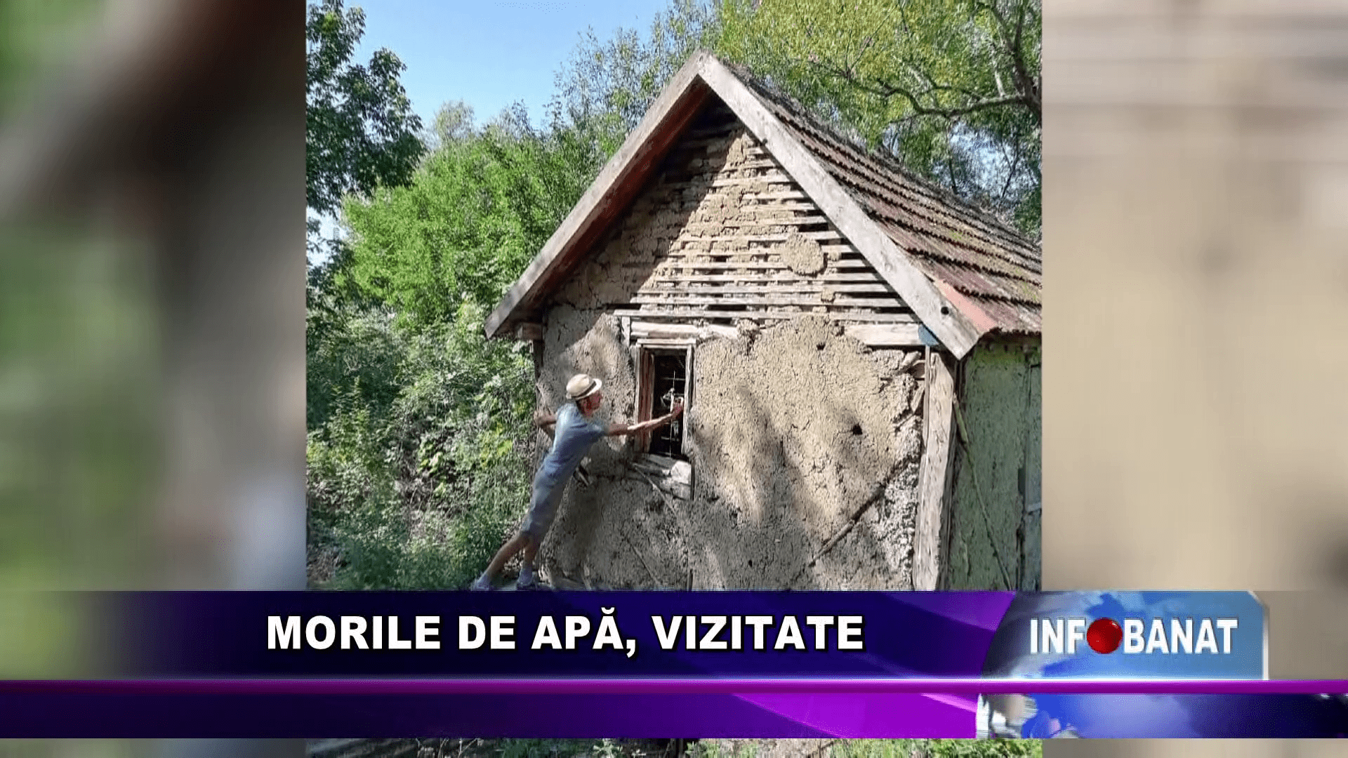 Morile de apă, vizitate – Banat TV | ține cu tine