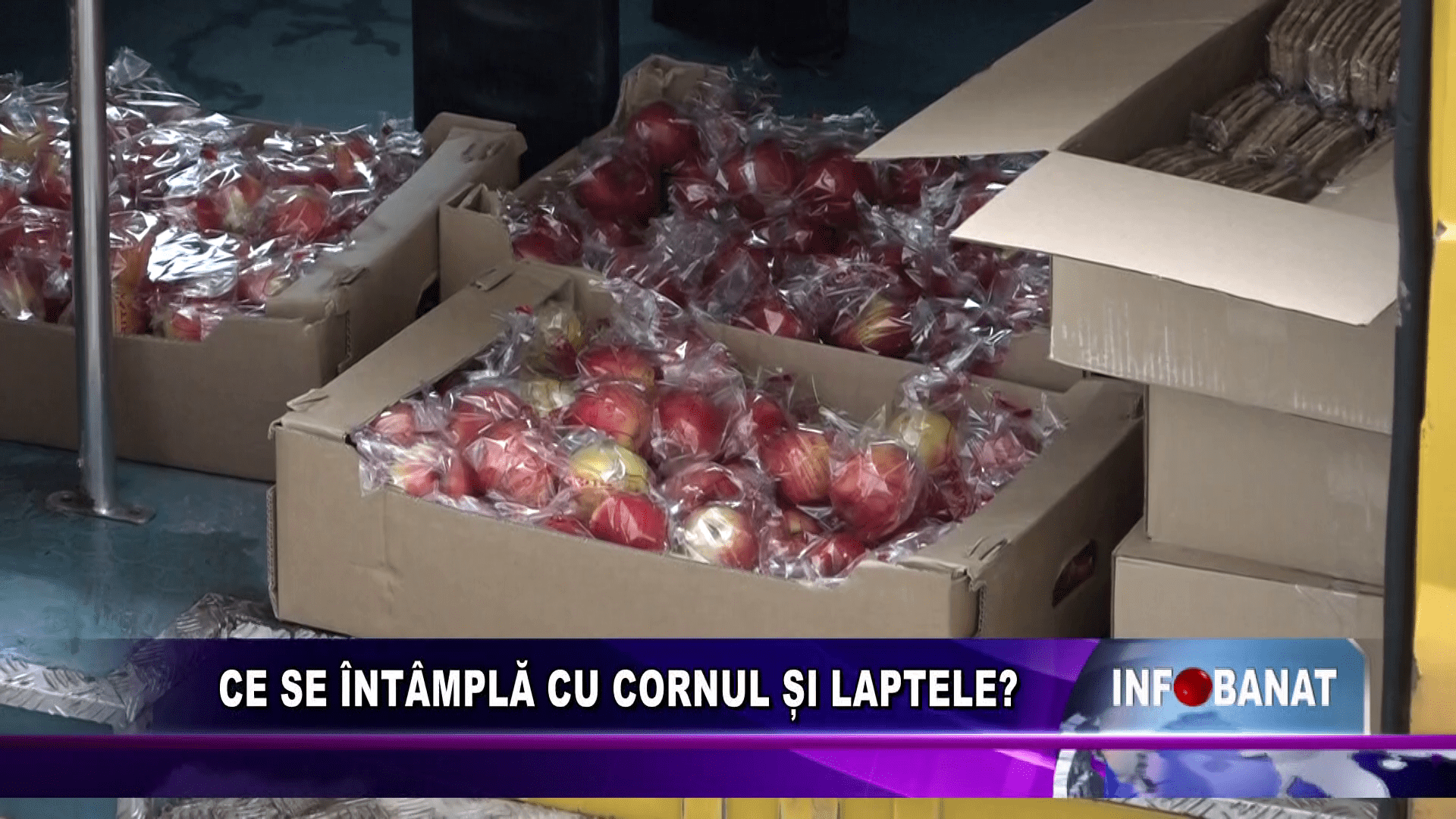 Ce se întâmplă cu cornul și laptele – Banat TV | ține cu tine