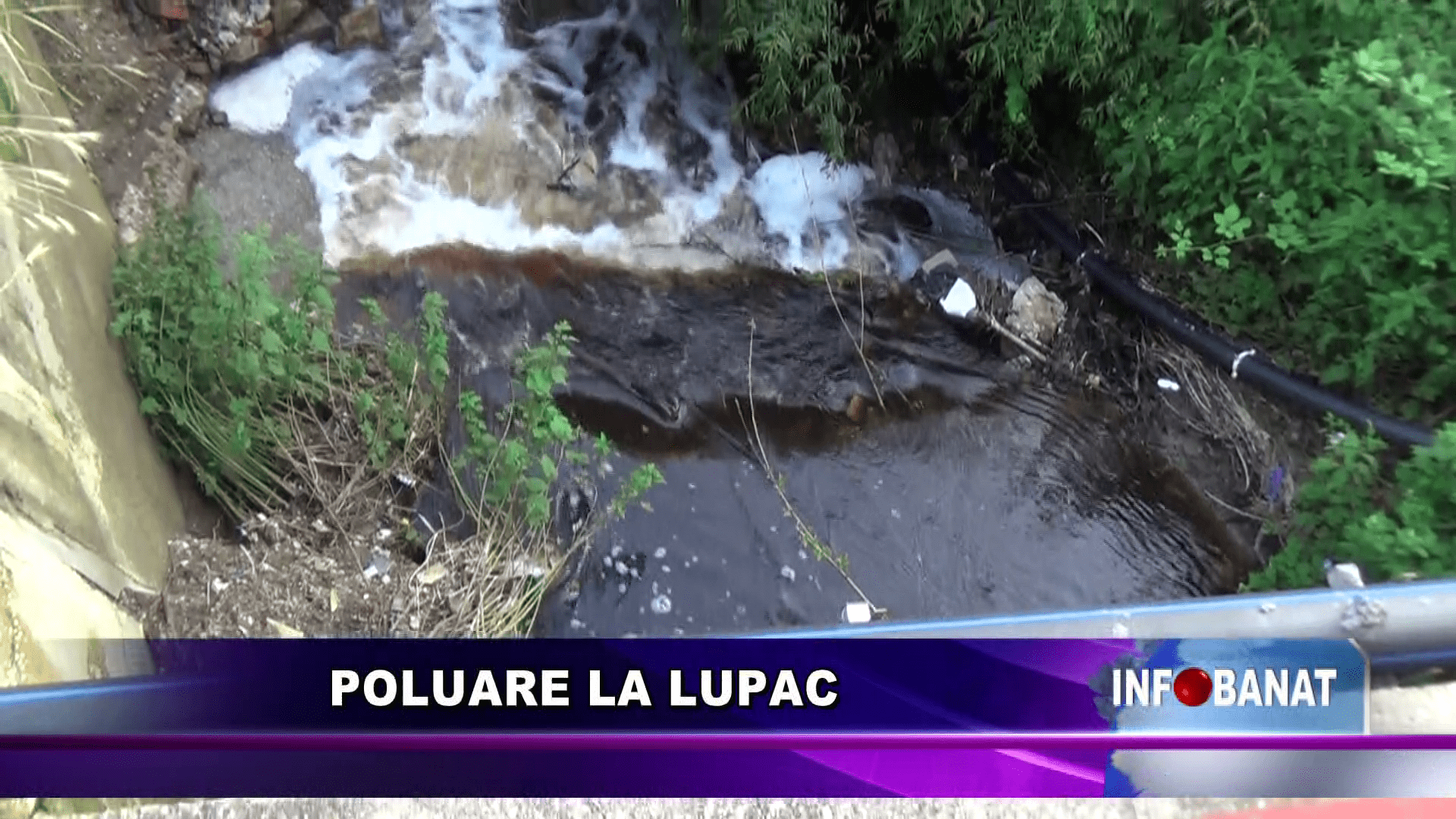 Poluare la Lupac – Banat TV | ține cu tine