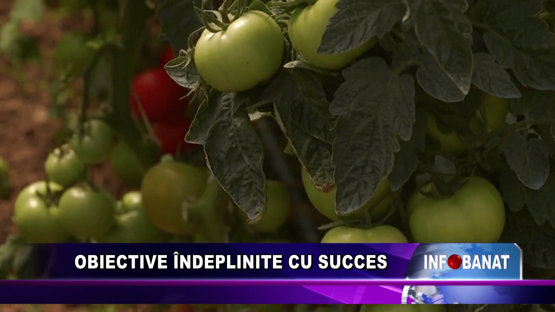 Obiective îndeplinite cu succes – Banat TV | ține cu tine