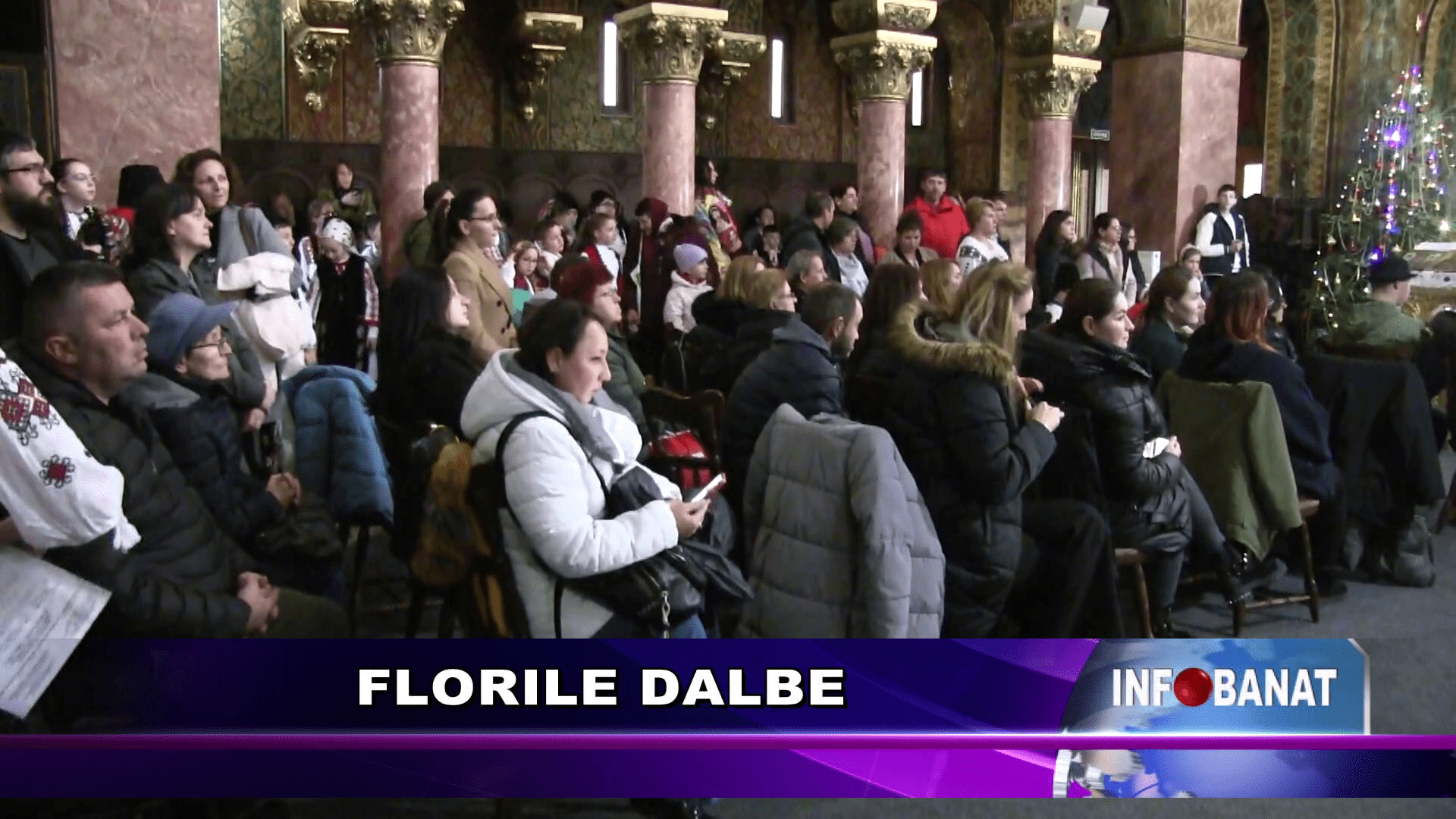 Florile dalbe – Banat TV | ține cu tine