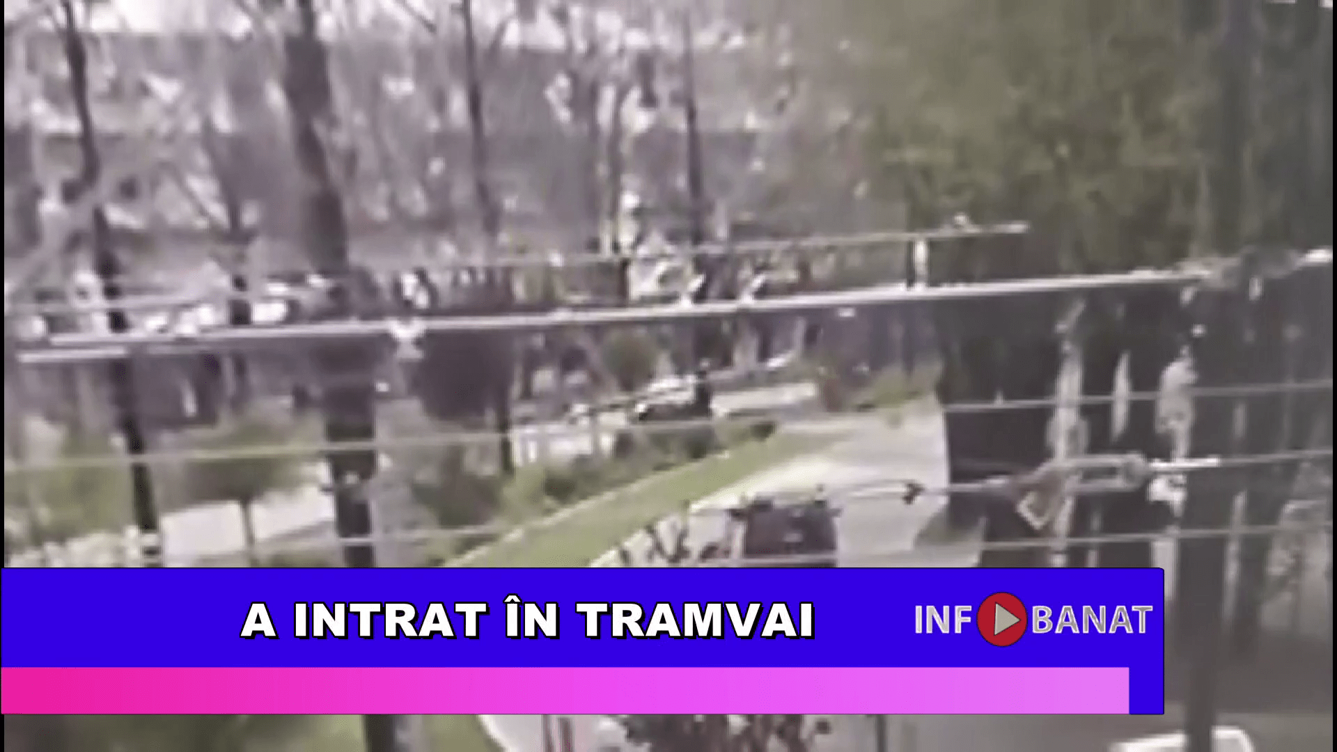 A intrat în tramvai – Banat TV | ține cu tine